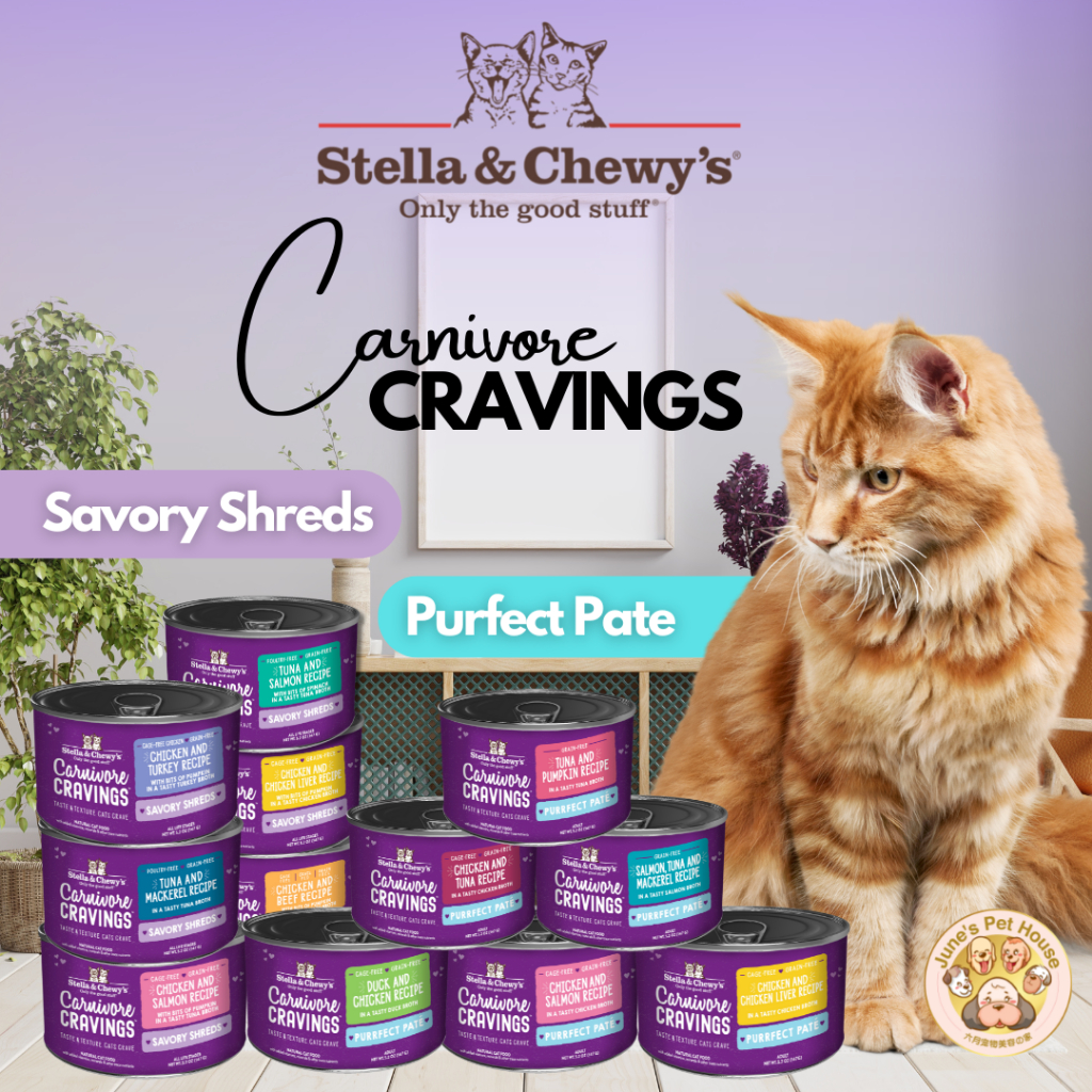 Stella & Chewy’s Purrfect Pate or Savory Shreds Wet Canned Food for Cat ...