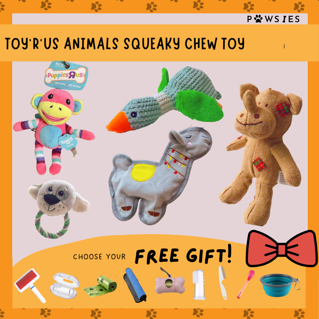 Colourful Animals Pet Dog Cat Toy Puppies R us with Squeaker Toy R Us ...