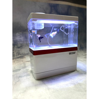 *Ready stock*TABLE TOP FISH TANK RECTANGULAR SHAPED With Pump & Filter ...