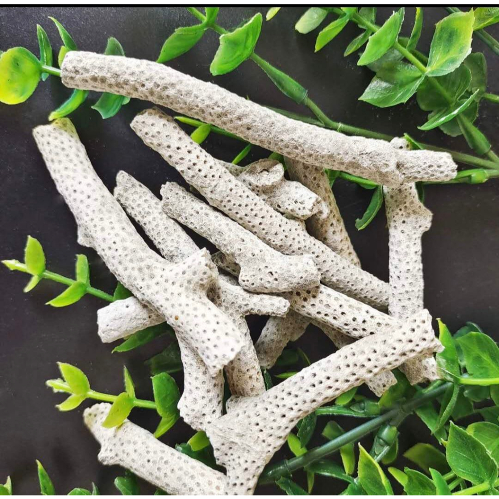 (500g X 1PACKS - A GRADE) Aquarium Substrate coral ornaments natural ...