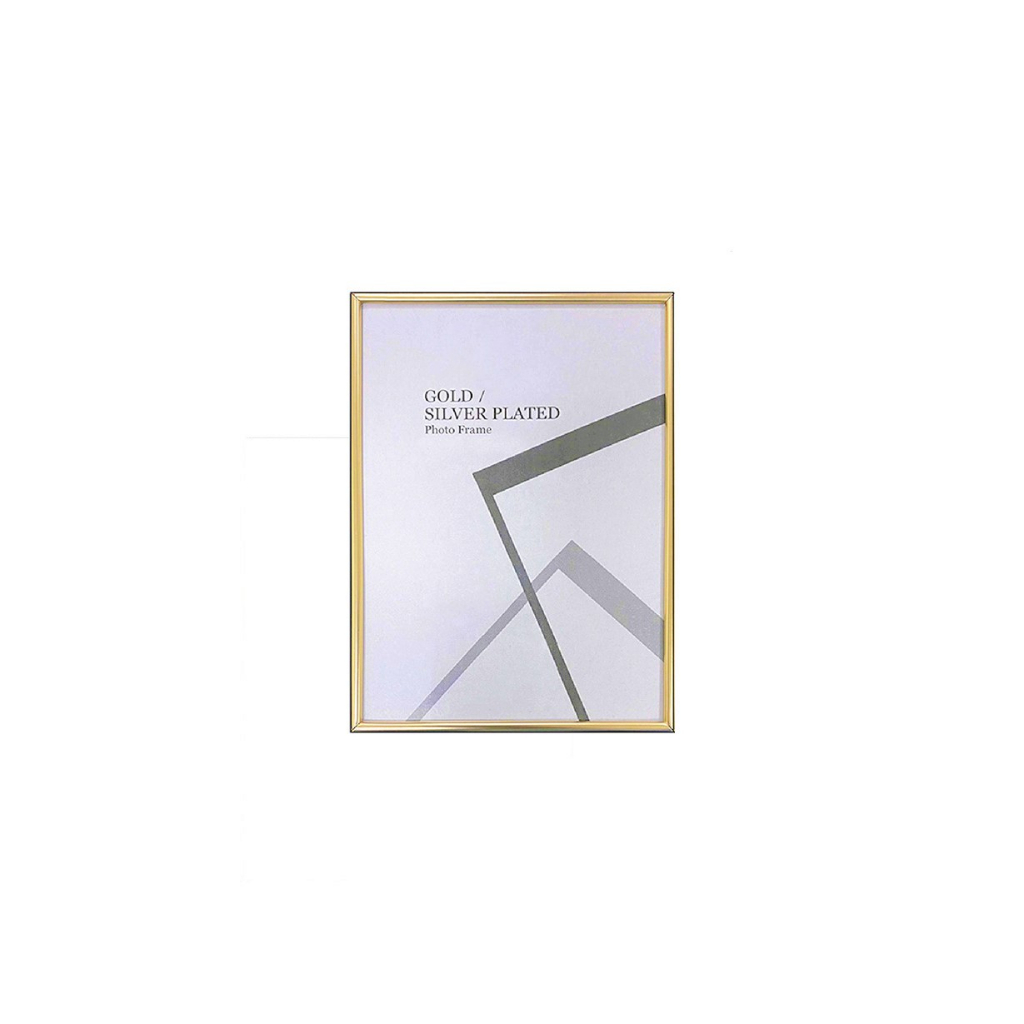 [SG Stock] Matte Gold Frame | Champagne Gold Frame | Glass panel | 4R ...