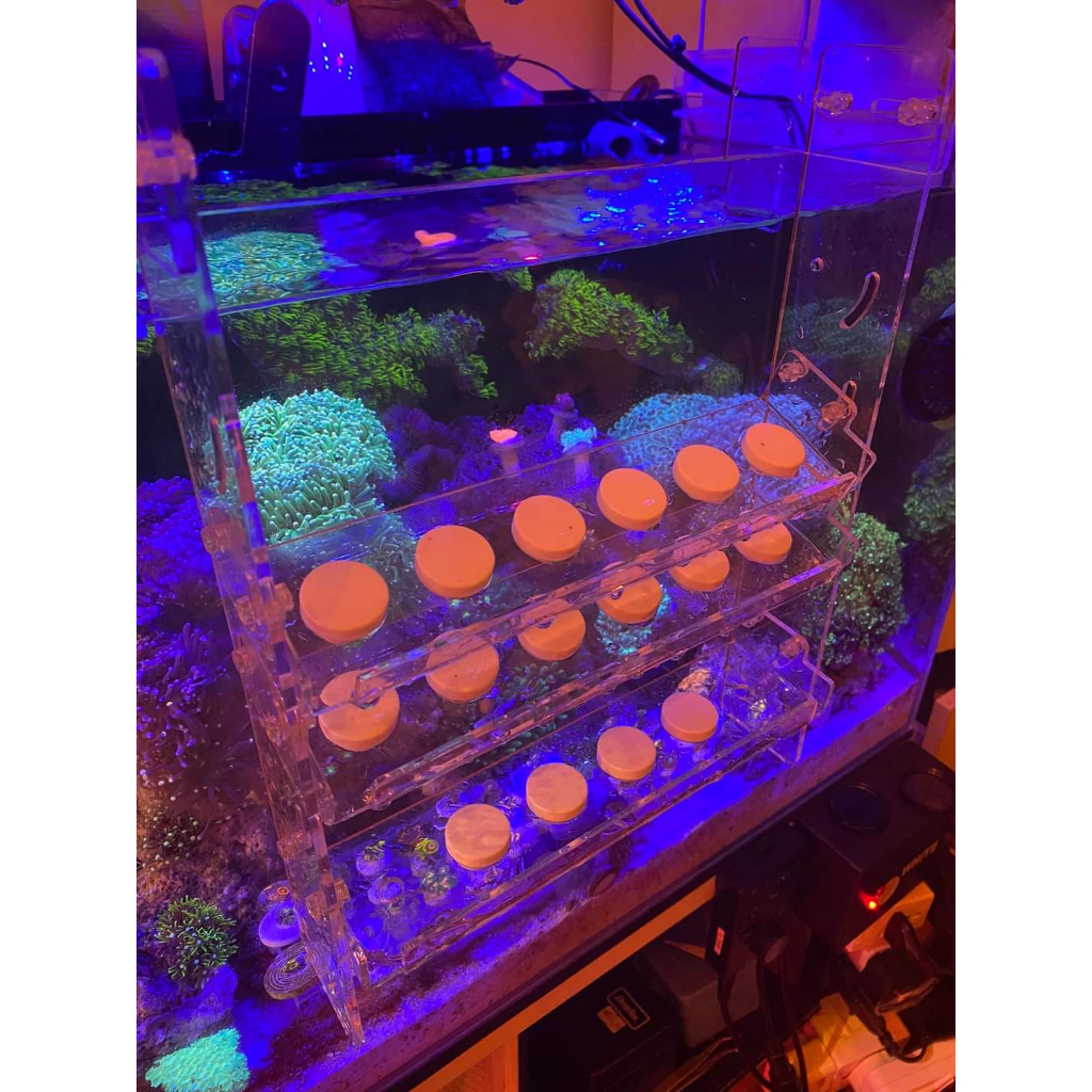 Battleship acrylic coral frag rack | Shopee Singapore