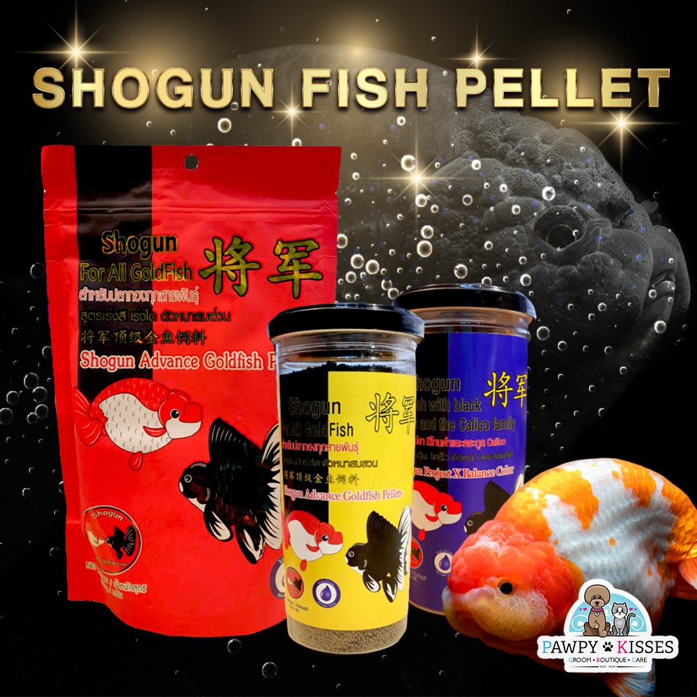 Shogun Advance Gold Fish / Balance Colour Fish Pellet | Pawpy Kisses ...