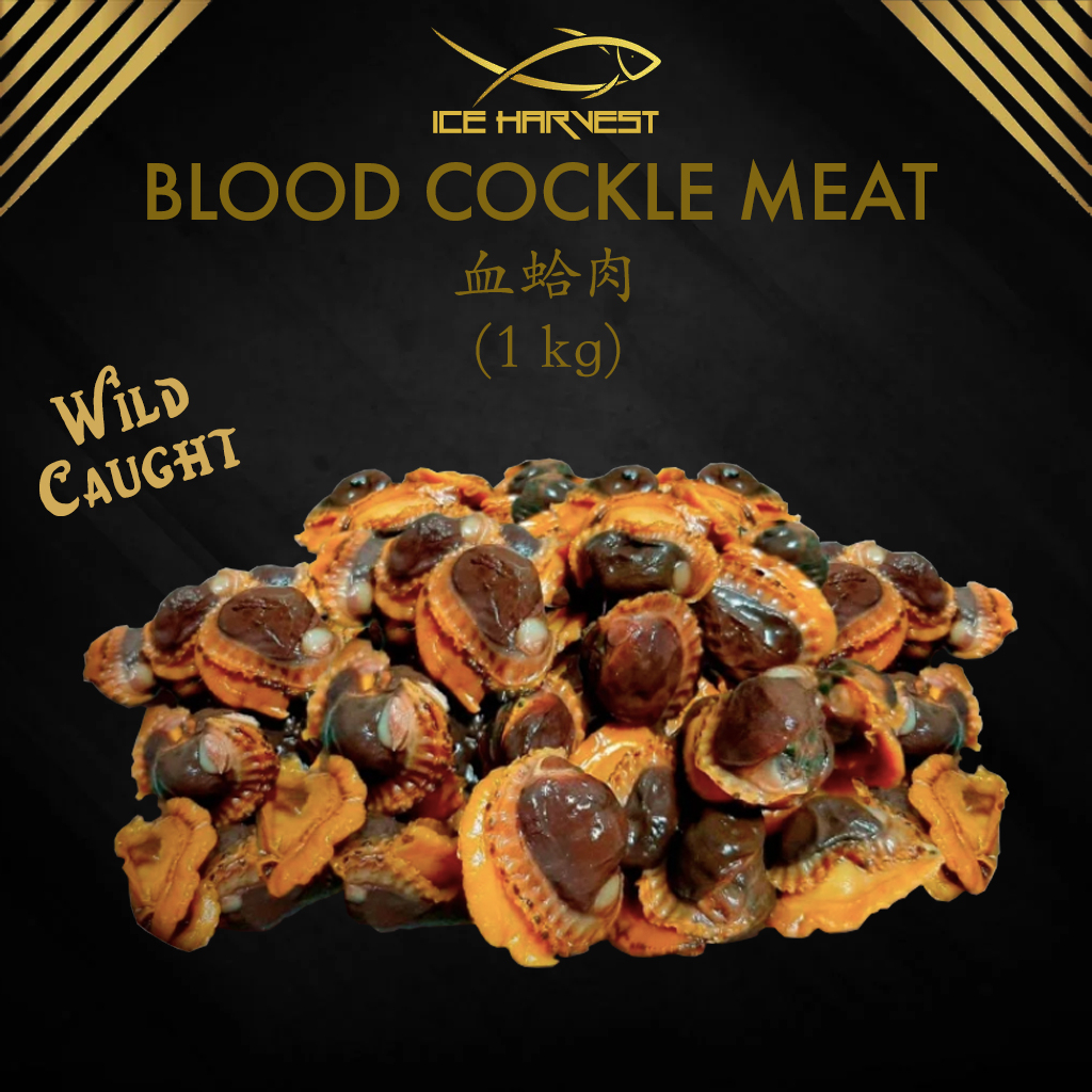 Blood Cockle Meat 700g 血蛤肉 | Shopee Singapore