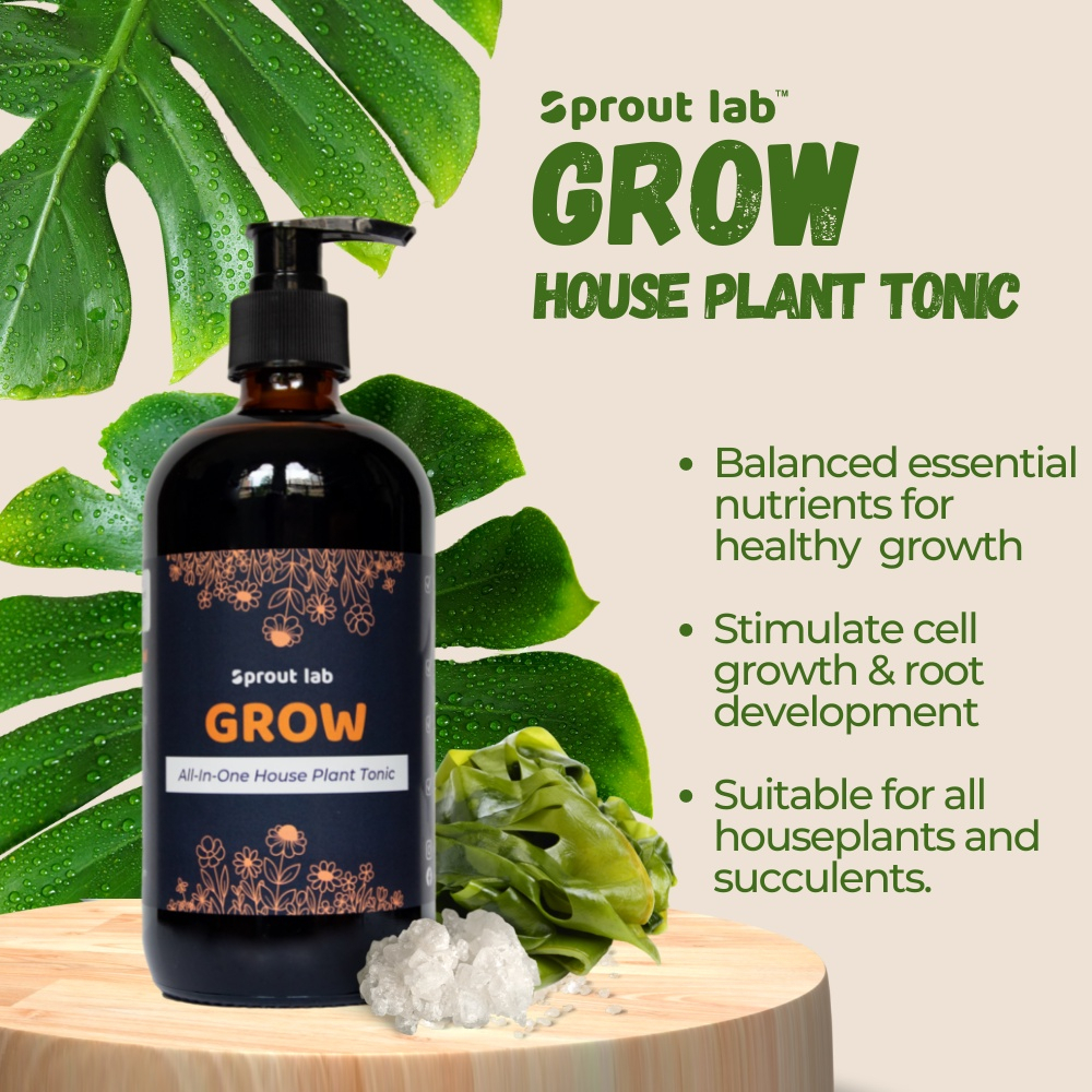 GROW All-in-One Houseplant Tonic | Liquid Fertilizer Concentrate ...