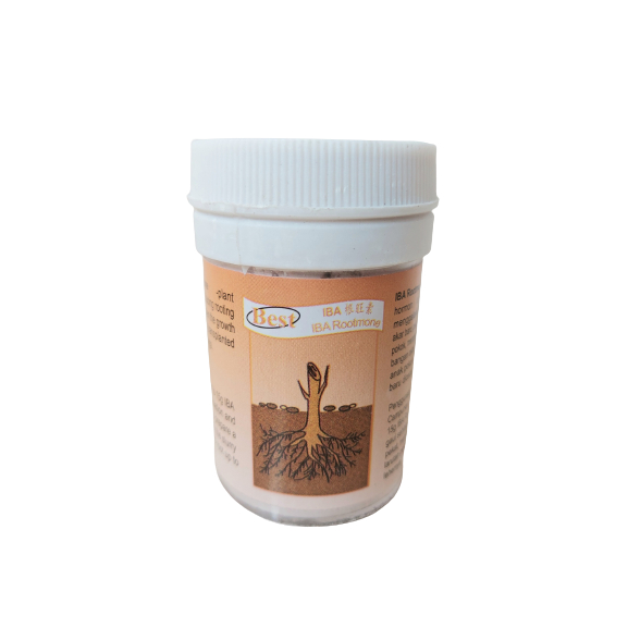 Best IBA Rootmone Rooting Powder for Growth of Roots Plant Growth ...