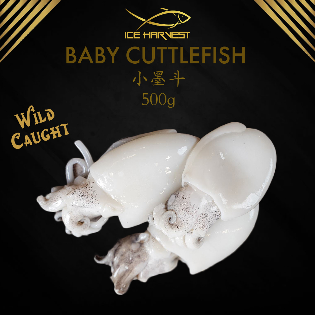 Cleaned Baby Cuttlefish 500g 60/80 Wild Caught Fresh Frozen 小墨斗 ...