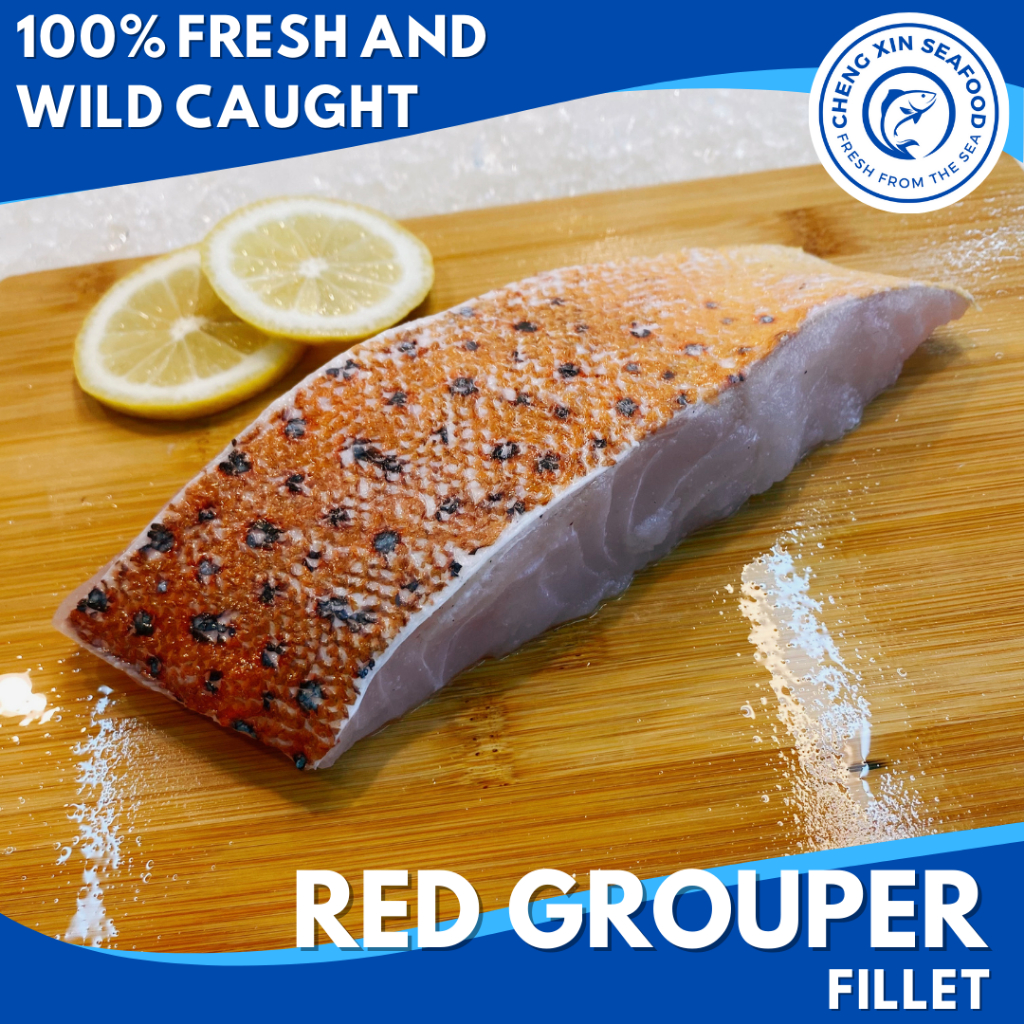 [Cheng Xin Seafood] Wild Caught Red Grouper Fillet 红斑鱼肉 (200g-250g ...