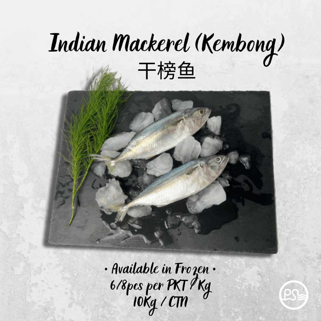 INDIAN MACKEREL (KEMBONG) - Freshly Frozen | Shopee Singapore