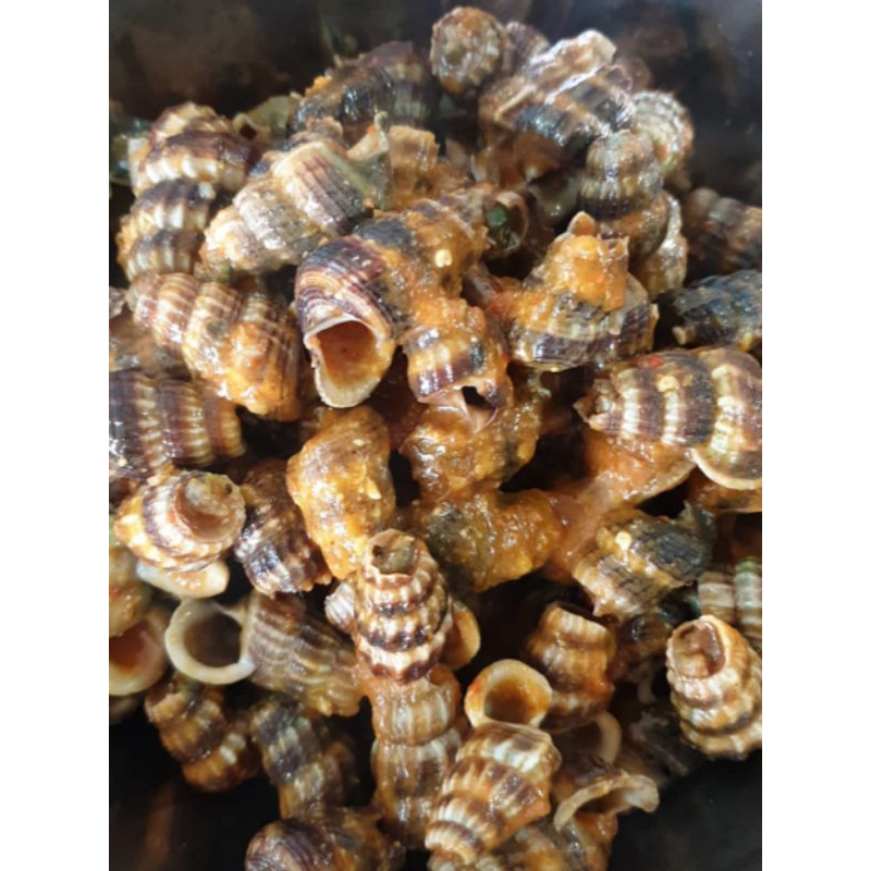 Chut Chut, Siput Sedut, Cooked & Snipped. 1kg/packet. | Shopee Singapore