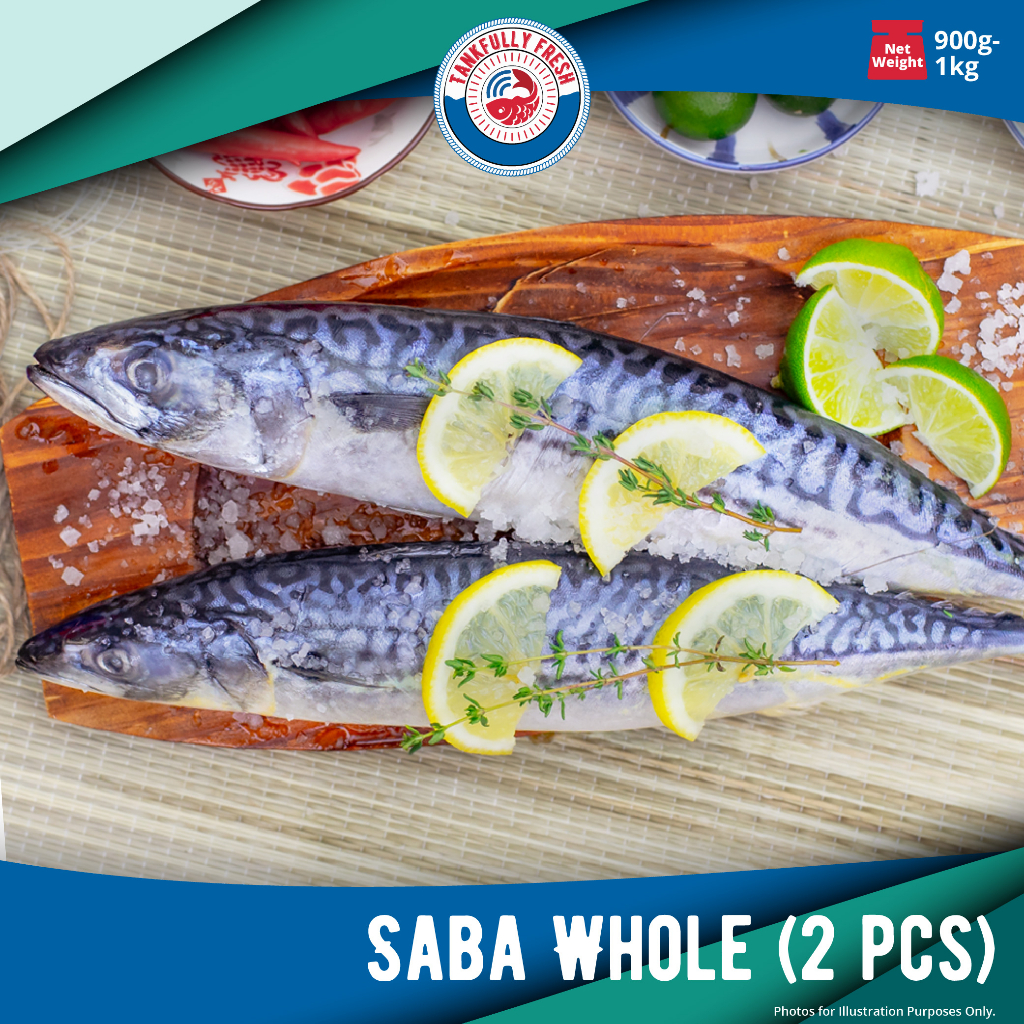 [Tankfully Fresh] New Frozen Saba / Atlantic Mackerel Whole 冰冻沙巴鱼两只 (2 ...