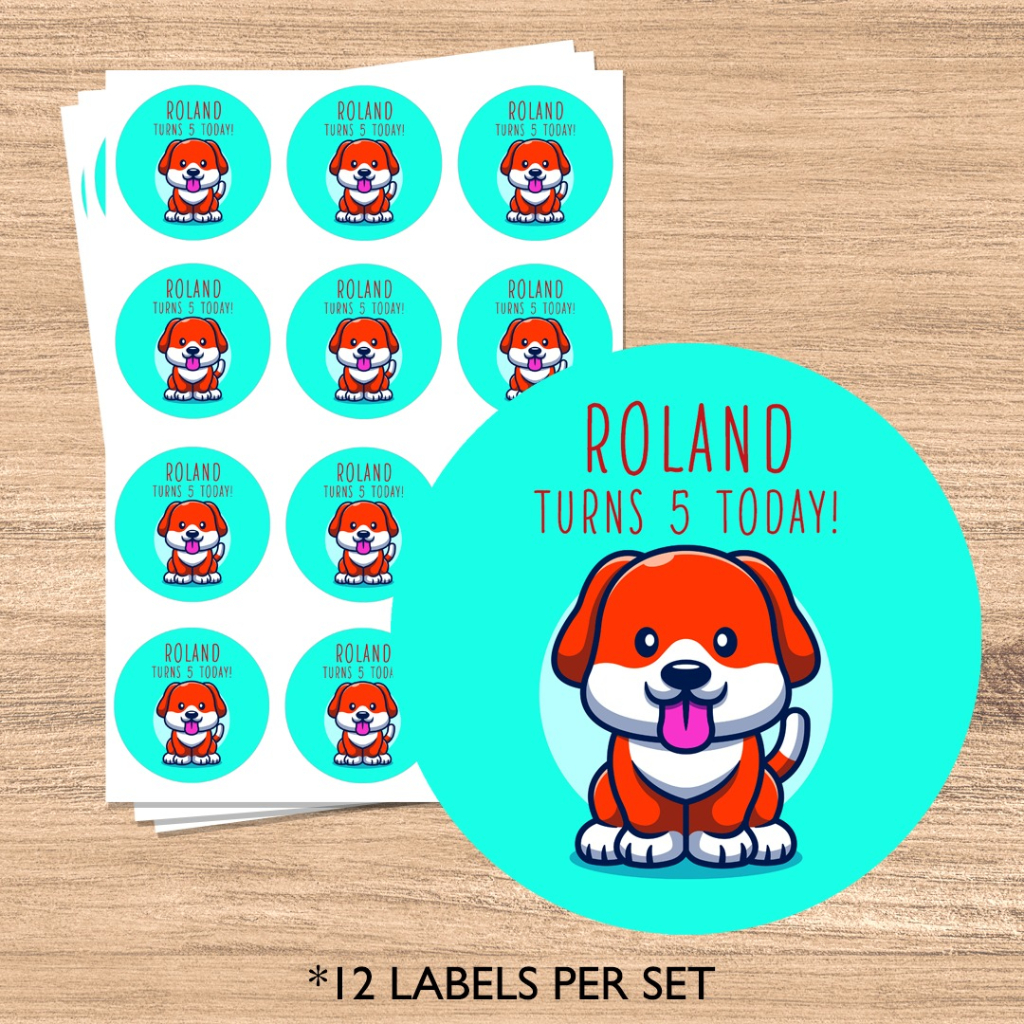 Personalised Birthday Sticker Labels Party Favor Labels Goodie Bag ...