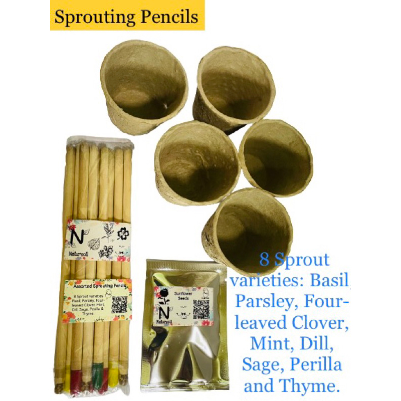 10 pcs Sprouting Pencils (Free Shipment - Normal Mail) | Shopee Singapore