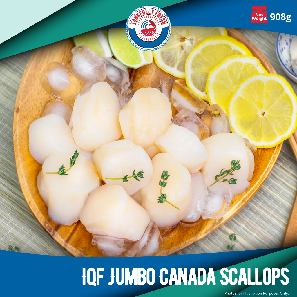 [Tankfully Fresh] Frozen Canadian Scallops 冰冻加拿大带子 (1 Pack, Various ...