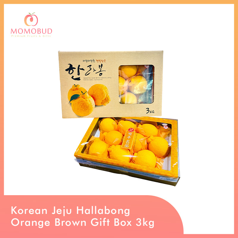 Jeju Hallabong Orange Gift Box (3kg) | Shopee Singapore