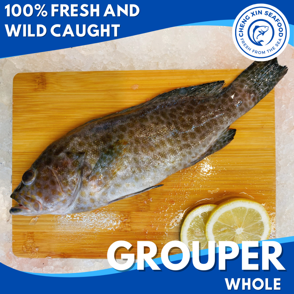 [Cheng Xin Seafood] Flower Grouper Whole Fish 石斑鱼 (300g-400g) | Shopee ...