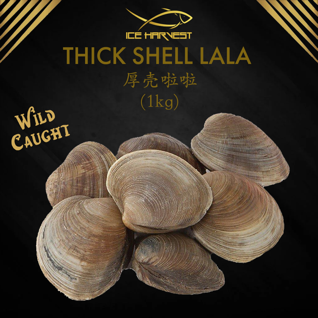 Thick Shell Lala 1kg Wild Caught Fresh Frozen 厚壳啦啦 | Shopee Singapore