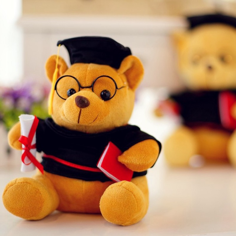 [SG Seller] Ready stock 35cm and 23cm graduation bears, best gifts for ...