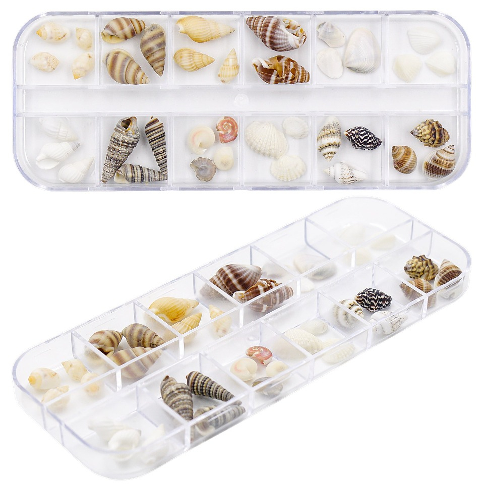 Miniature Seashells Inclusions | Resin Inclusions | Resin Crafting ...