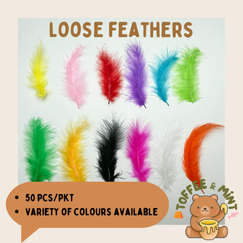 Loose Feathers 50 pcs | Shopee Singapore
