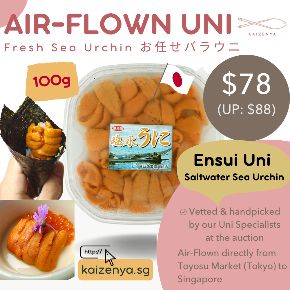 Kaizenya | Fresh Ensui Uni (Sea Urchin) 100g [Bafun] Grade AA+ - Air ...