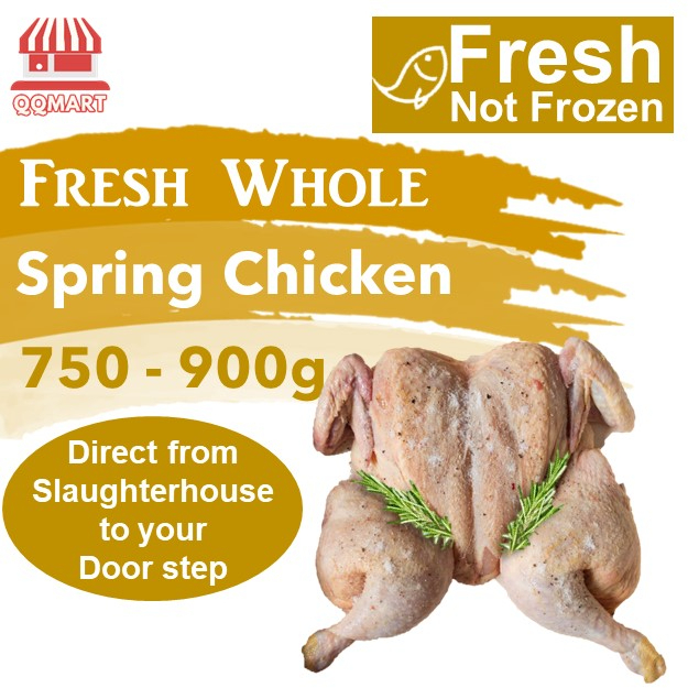 QQMart Fresh Chicken - Spring Chicken - Direct from local Singapore ...
