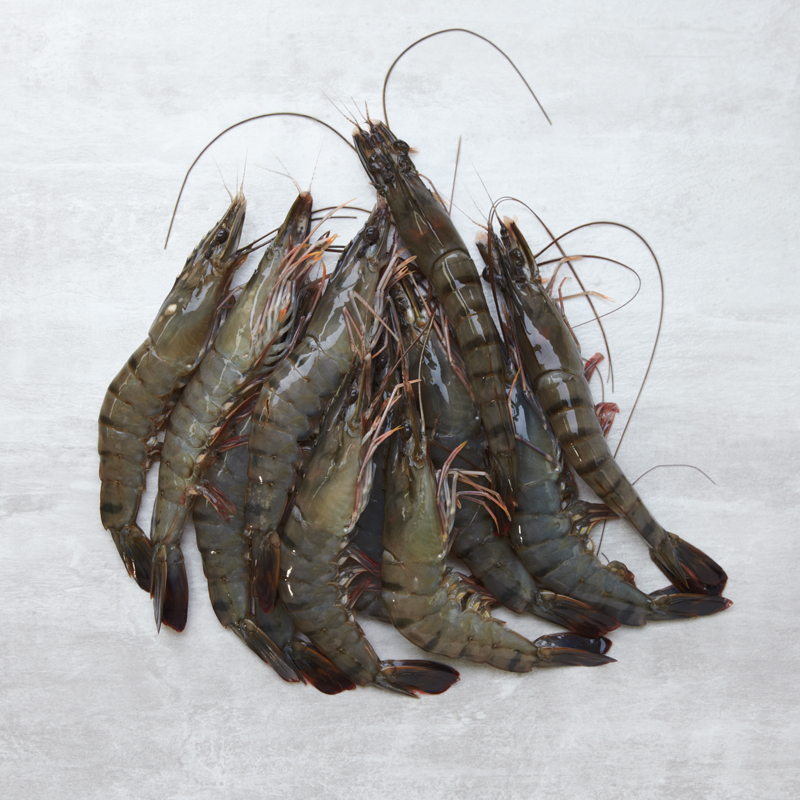 Frozen Tiger Prawns -1kg | Shopee Singapore