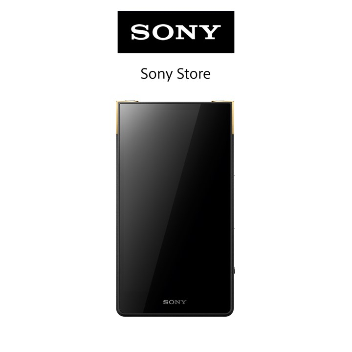 Sony Singapore NW-ZX707 Walkman® ZX Series Portable Audio Player ...