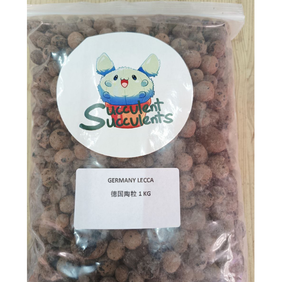 Soil mix succulents Golden Medical Stone Lecca Volcanic sand Pumice ...