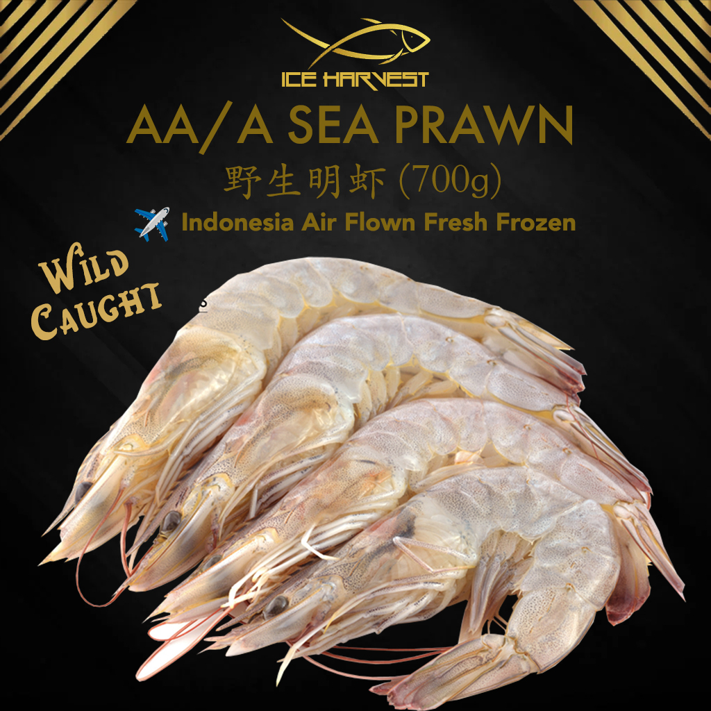 Wild Caught AA/A Sea Prawn Head On Shell On 700g Fresh Frozen 野生明虾 ...