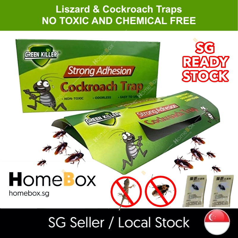 HomeBox 🇸🇬 10PCS 壁虎&蟑螂捕捉器 Cockroach Trap Lizard Trap Sticker Glue ...