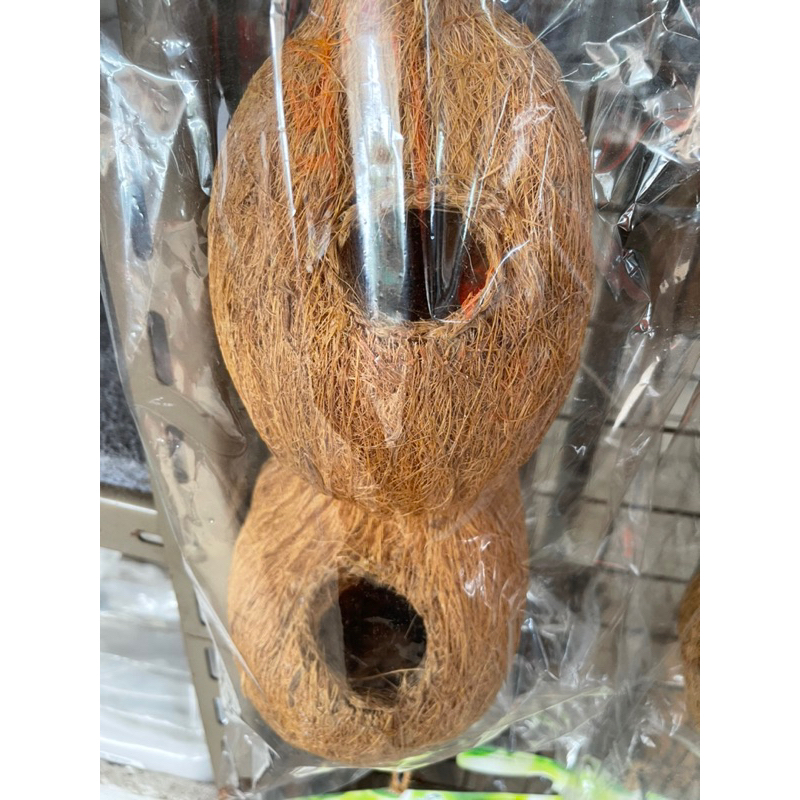 Eco Coco Bird Nest Double Hole | Shopee Singapore