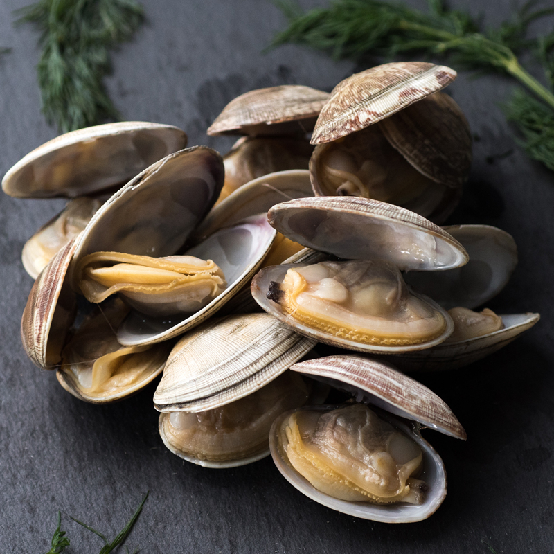 Frozen Short Neck Clam -500g | Shopee Singapore