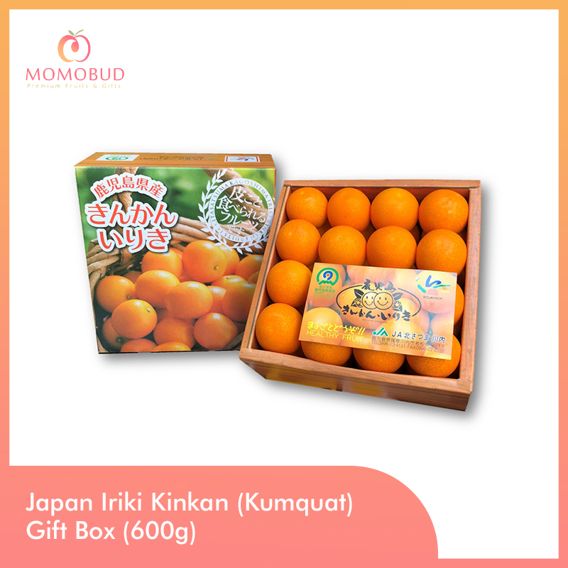 Japan Iriki Kinkan (Kumquat) Gift Box (600g) | Shopee Singapore
