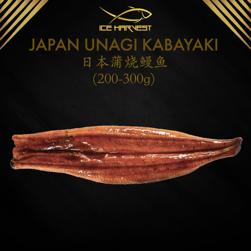 Japan Unagi Kabayaki 200-300g Grilled Eel Wild Caught Fresh 日本蒲烧鳗鱼 ...