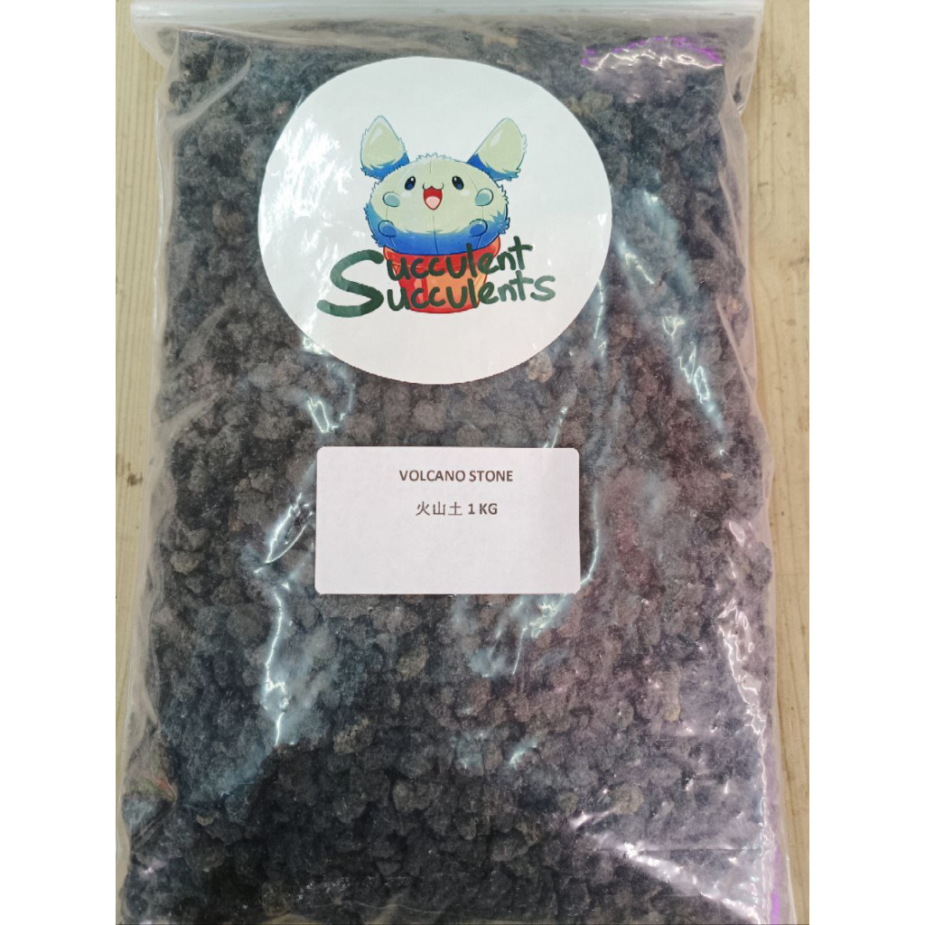 Soil mix succulents Golden Medical Stone Lecca Volcanic sand Pumice ...