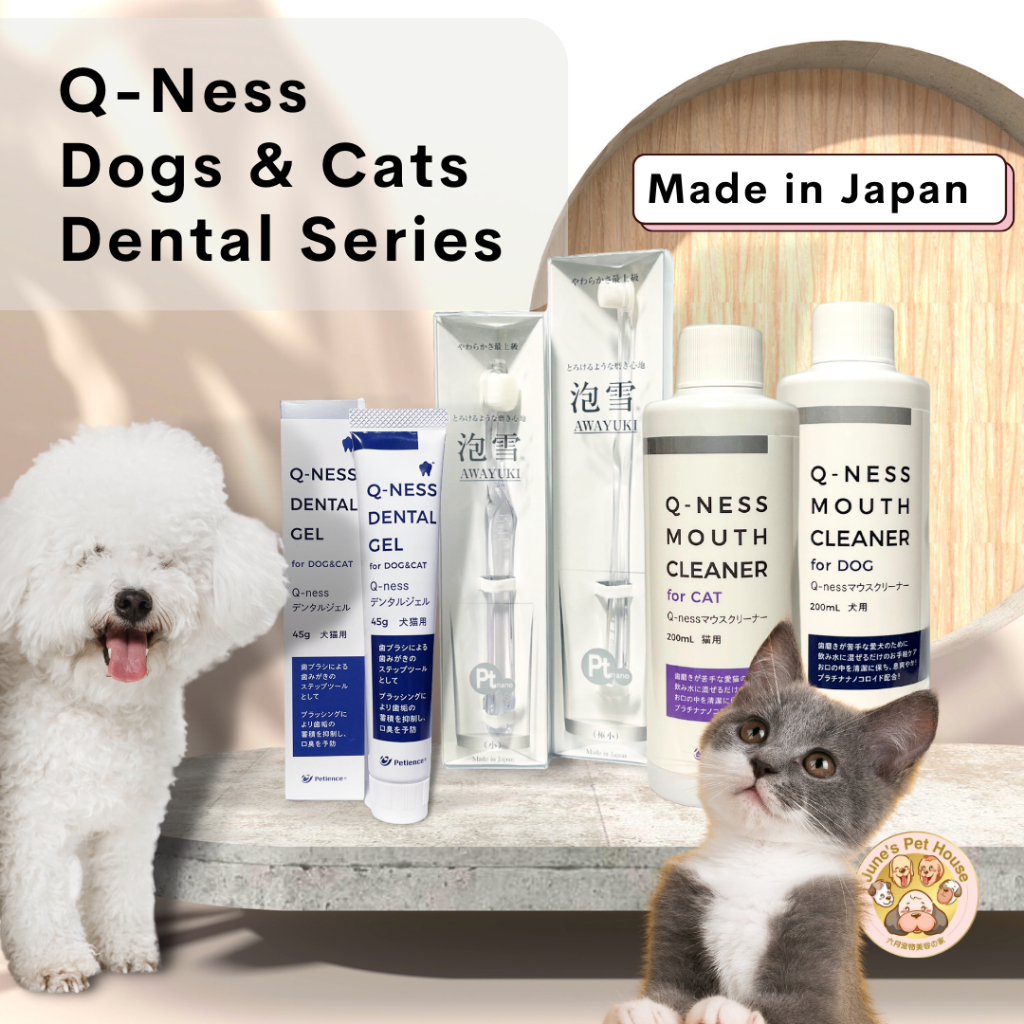 QNess / Q-Ness Dental Kit for Dogs & cats, Made in Japan | Shopee Singapore