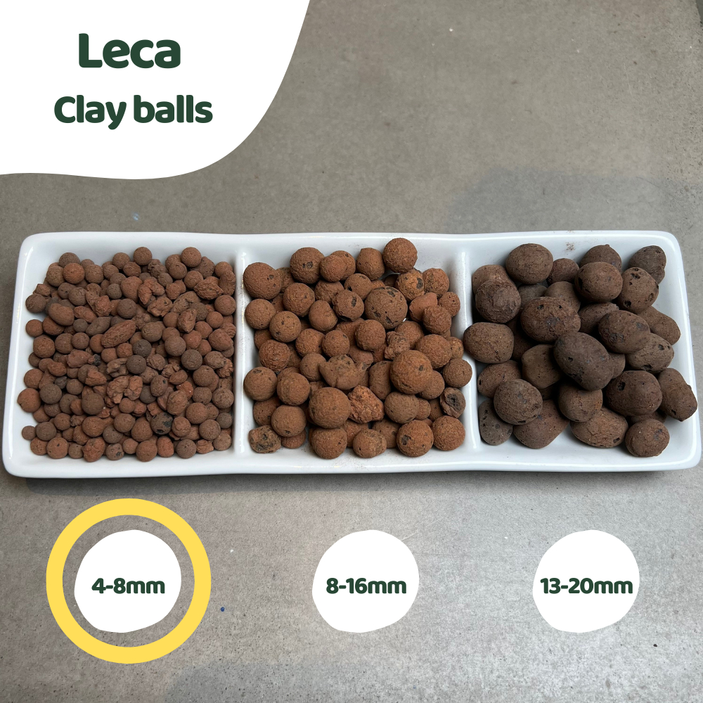 Sprout lab | Premium Heavy Leca Balls 5L (S,M) Clay Balls | Shopee ...