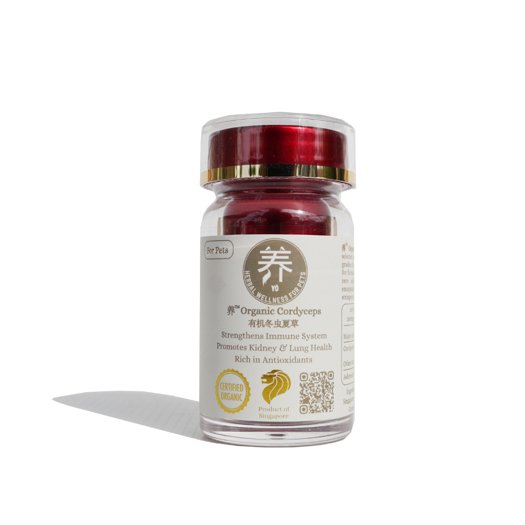 养™ Yo Organic Cordyceps 有机冬虫夏草 TCM for Pets (30 Vege Capsules ...