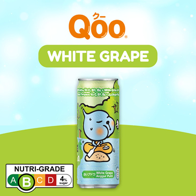 Qoo White Grape 300ml X 24cans | Shopee Singapore