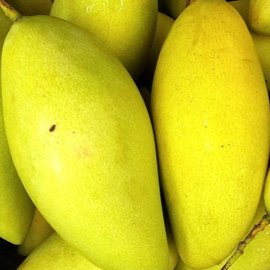 Fruitland Fresh Thai Mango 300-350g | Shopee Singapore