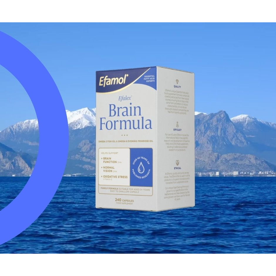 Efamol Efalex Original Brain Formula 240 Capsules (Exp: 09/2026 ...
