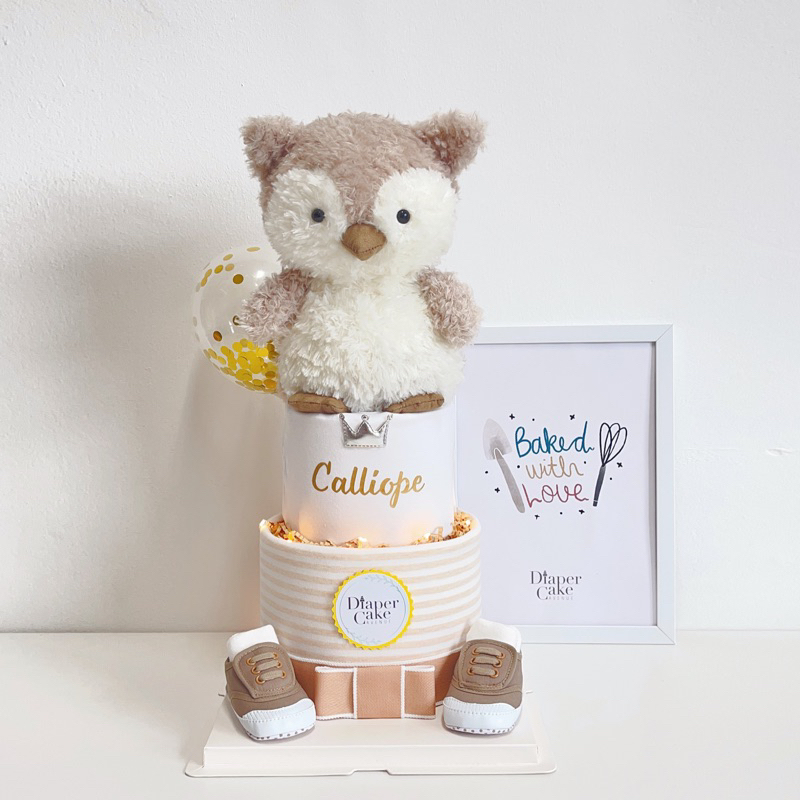 🇸🇬 🔥🔥🔥 2 Tier Diaper Cake - wise Owl Baby Hamper for Newborn, Full ...