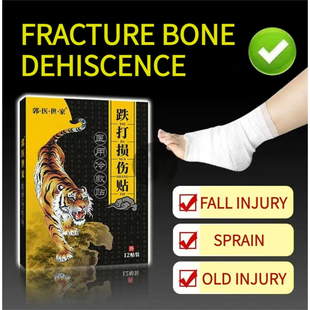 SG Stock Medicated Pain Relief Plaster Original TCM Formula Plaster ...