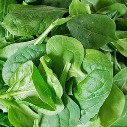 Fresh Baby Spinach 100g | Shopee Singapore