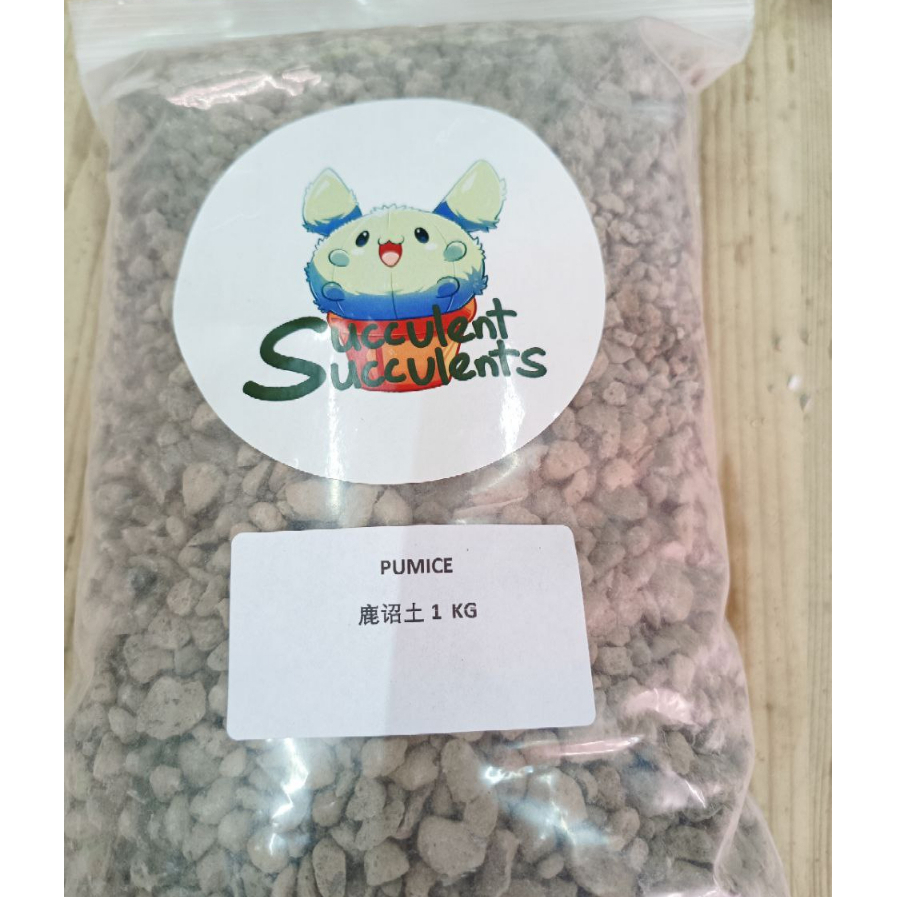 Soil mix succulents Golden Medical Stone Lecca Volcanic sand Pumice ...
