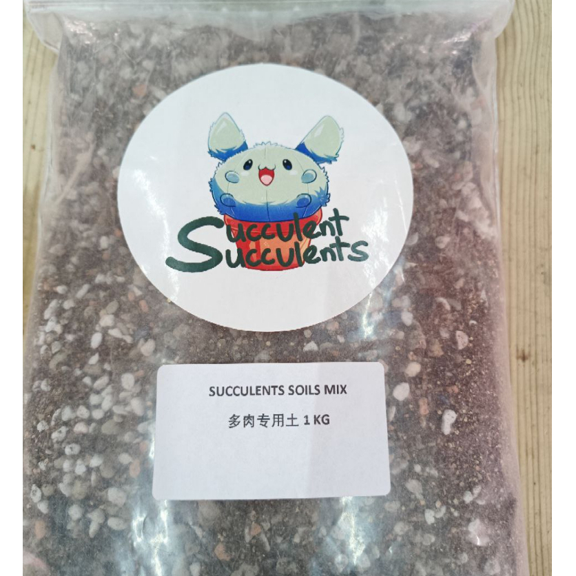 Soil mix succulents Golden Medical Stone Lecca Volcanic sand Pumice ...