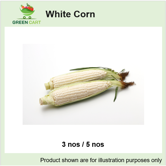 [Greencartsg] Fresh Vegetables – White Corn | Shopee Singapore