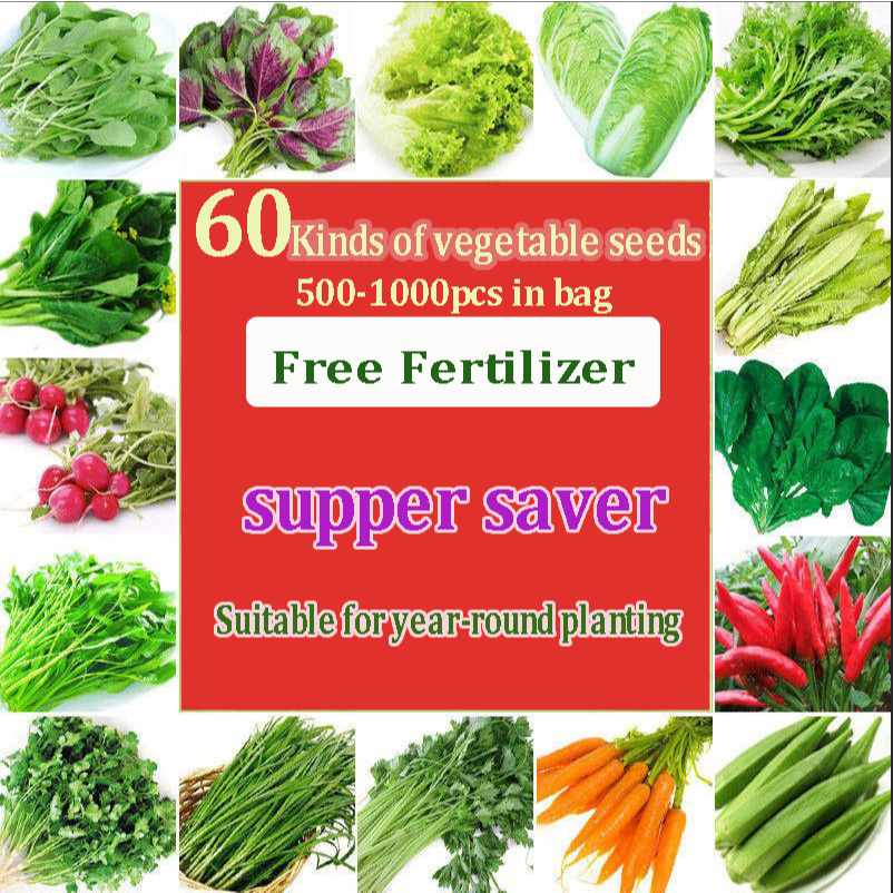 Free FERTILIZER】Vegetable Seeds Package suitable for year-round ...