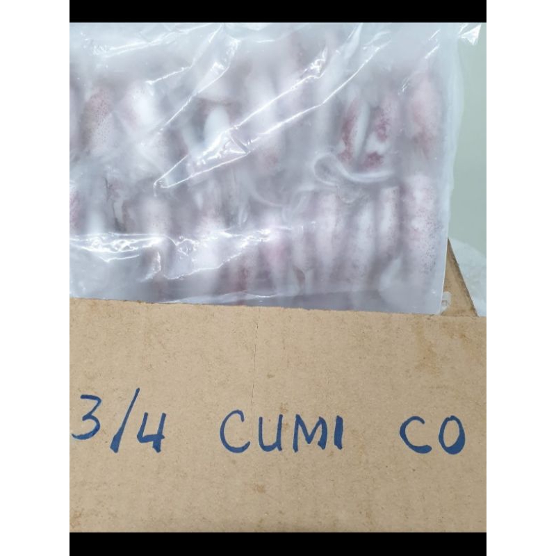 Frozen Squid Sotong, 苏东 - 1kg/Packet, (Gutted / Whole Cleaned) (CO/WC ...